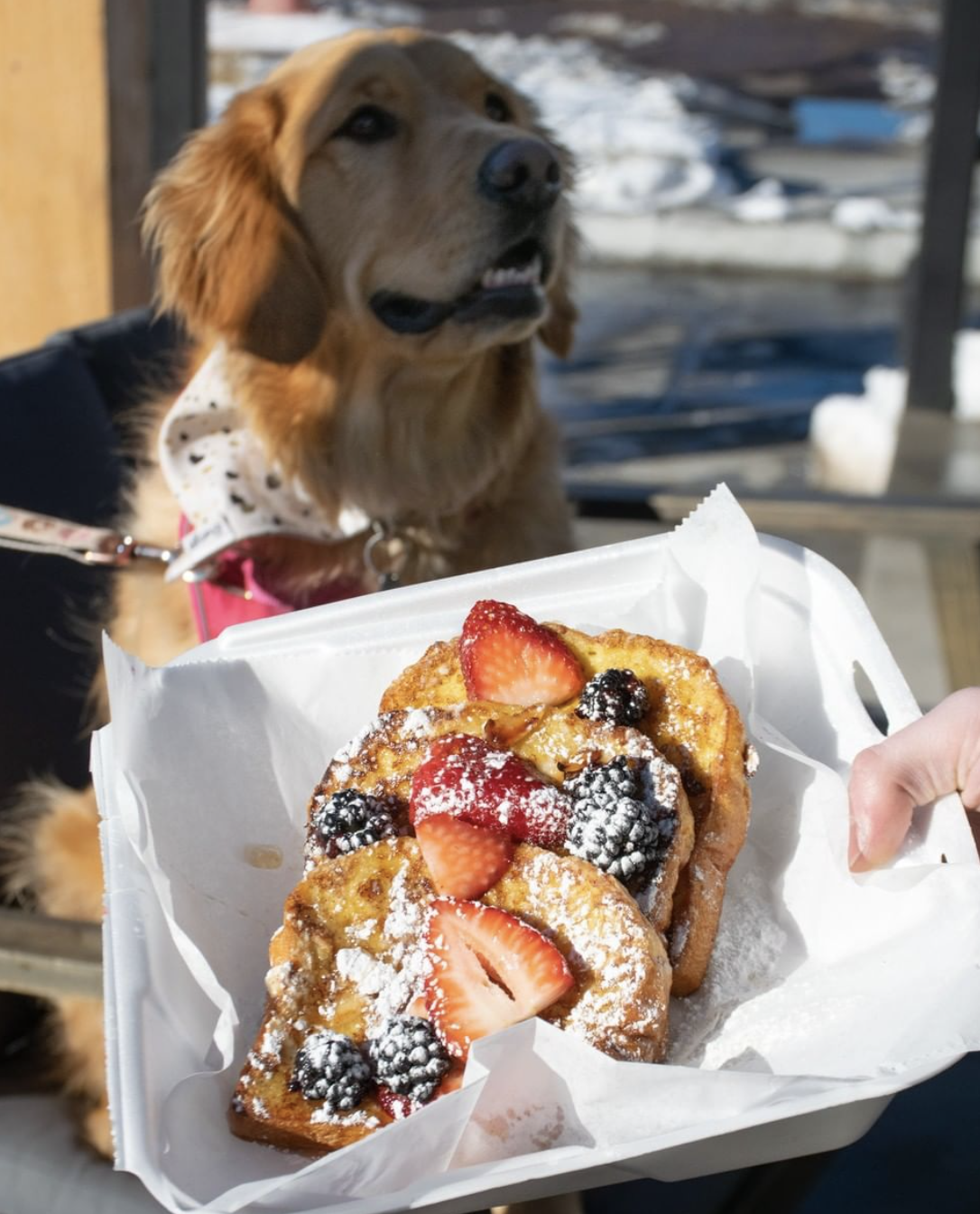 7 Reasons Why Colorado Springs is the Perfect Place to Vacation (or ...